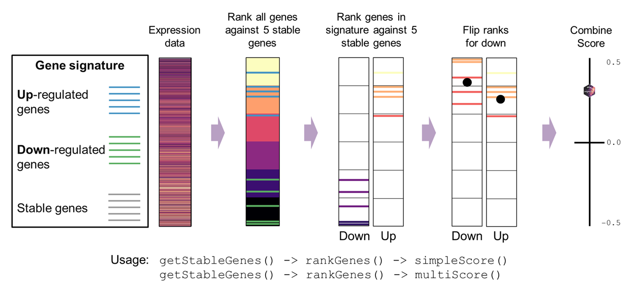 Stable gene expression for normalisation and single-sample scoring | bhuvad